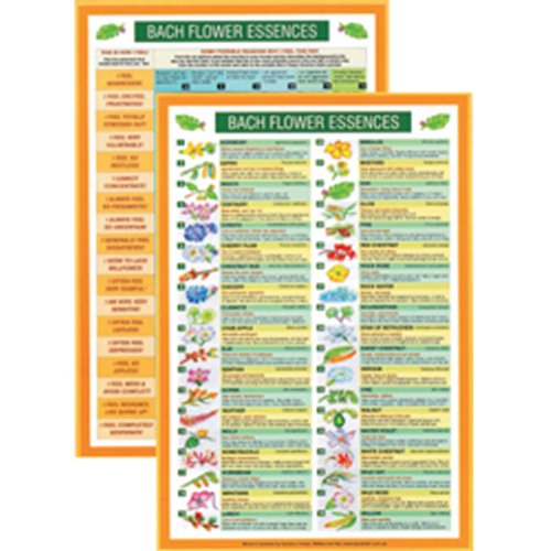 Bach Flower Remedies Mini Chart – Healing Guide for Personality Balance ...